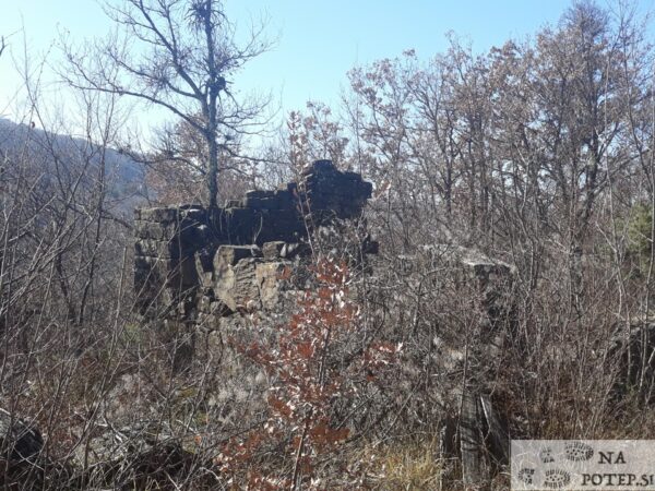 SLAP PASJAK, TOPOLEC - Na potep