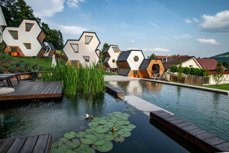 ROVI POD STARIM KRANJEM - Na potep