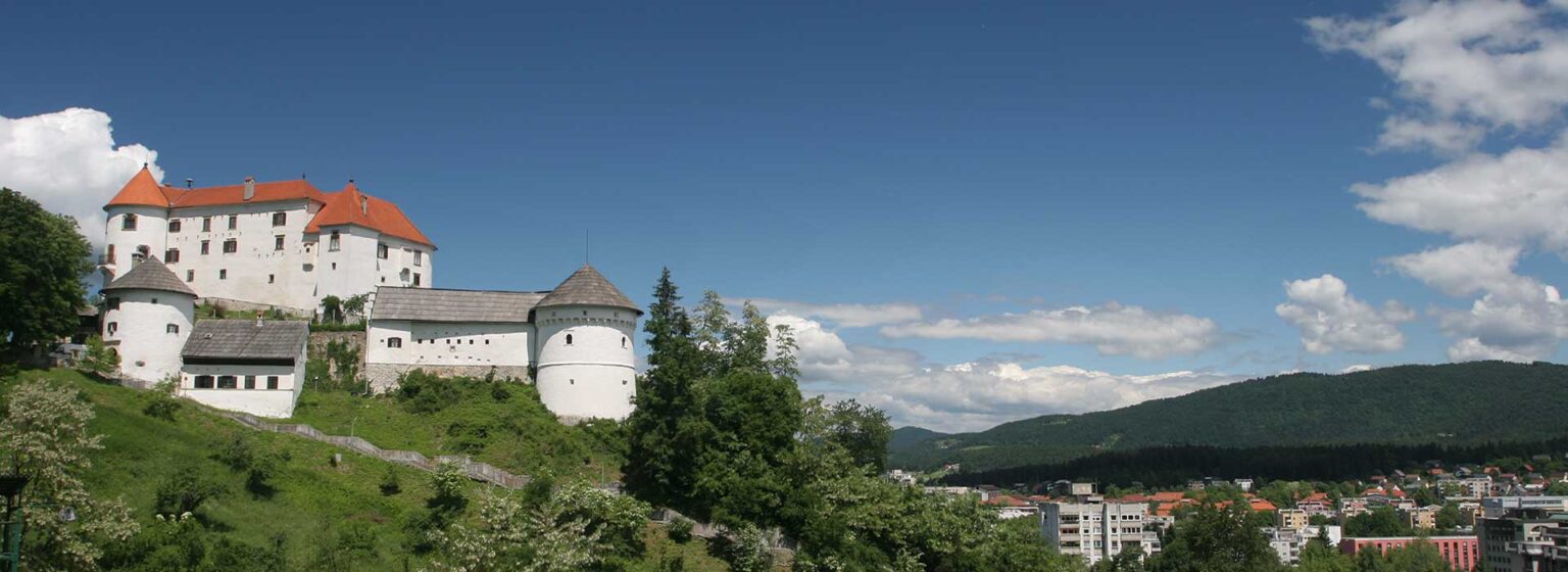 KOPALIŠČE KRANJ - Na potep